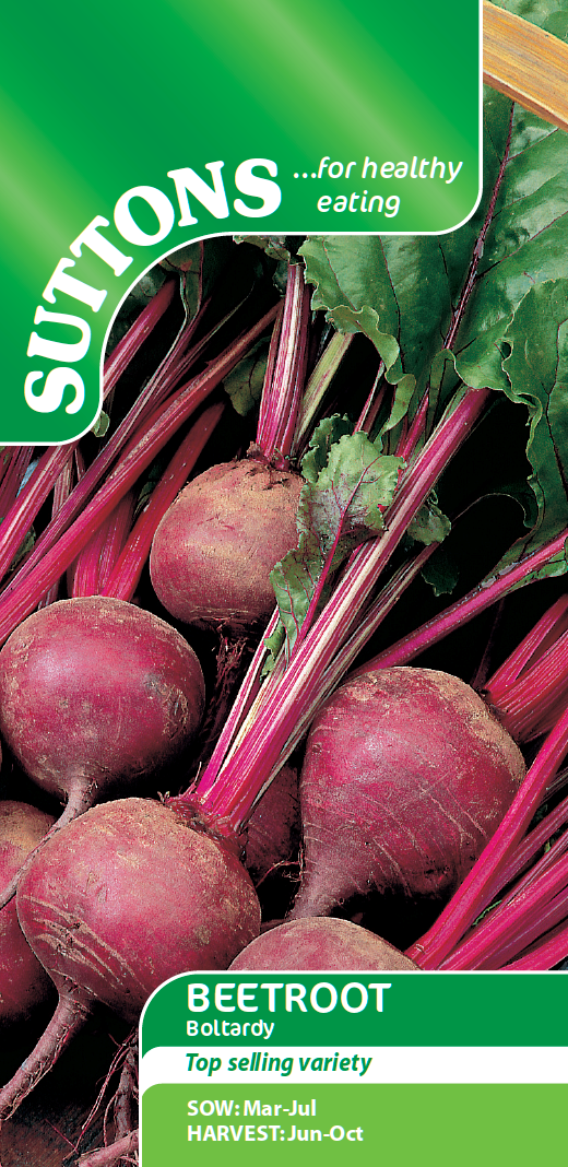 Seeds - Beetroot Boltardy For Sale | Buy - Blackmoor Nurseries