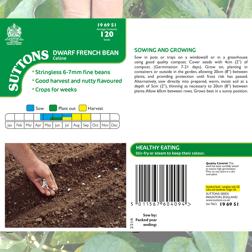 Seeds - Dwarf French Bean Celine For Sale | Buy Online - Blackmoor ...
