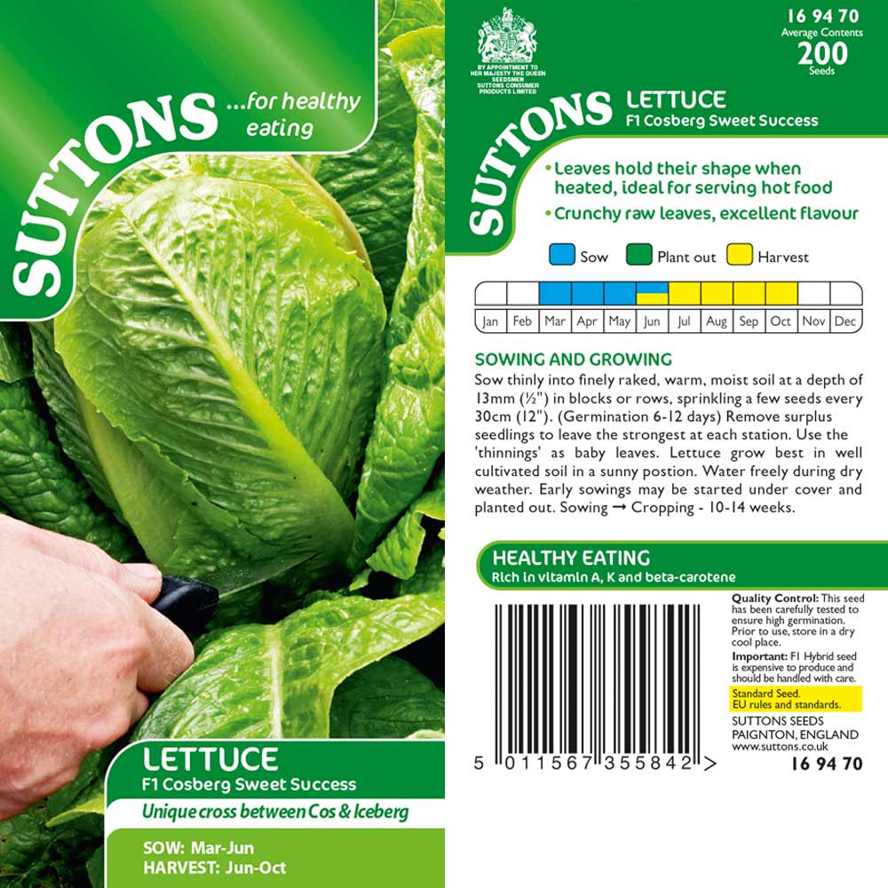 Seeds - Lettuce Cosberg Sweet Success F1 - Blackmoor Nurseries