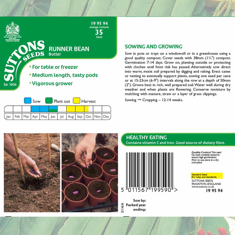 Seeds - Runner Bean Butler (Stringless) For Sale | Buy Online ...