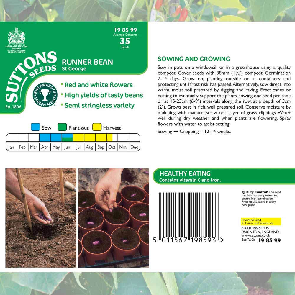 Seeds - Runner Bean St George For Sale - Blackmoor Nurseries