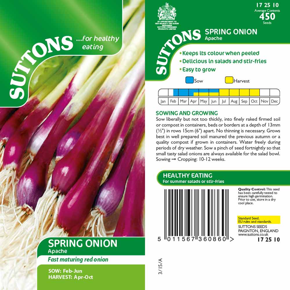 Seeds - Salad Onion Apache For Sale - Blackmoor Nurseries