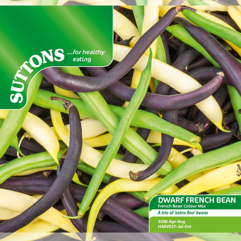 Seeds - Dwarf French Bean Colour Mix - Blackmoor Nurseries