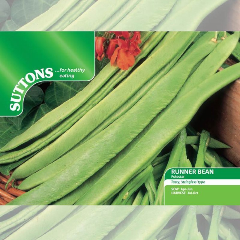 Seeds - Runner Bean Polestar (Stringless) For Sale | Buy Online - Blackmoor Nurseries